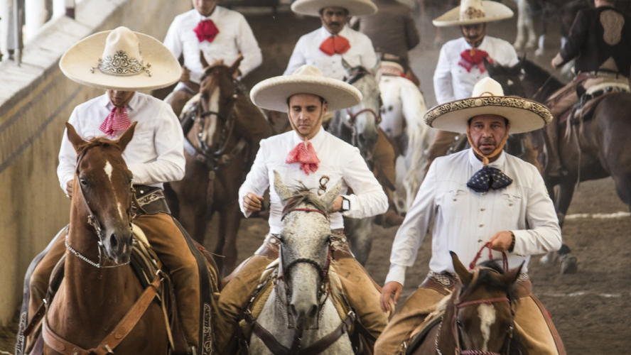 Culture, Entertainment, Food, News & Puerto Vallarta | National Charro ...