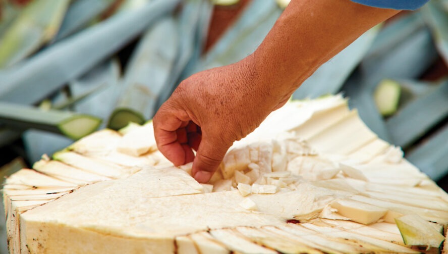 National Tequila Day: A Toast to Mexican Identity - Vallarta Lifestyles
