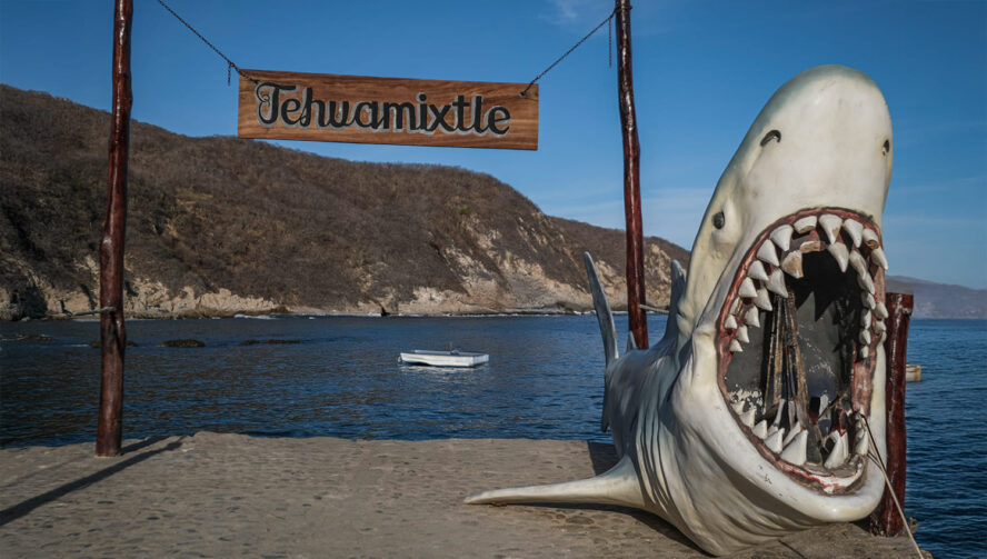Culture, Entertainment, Food, News & Puerto Vallarta | Tehuamixtle: A ...
