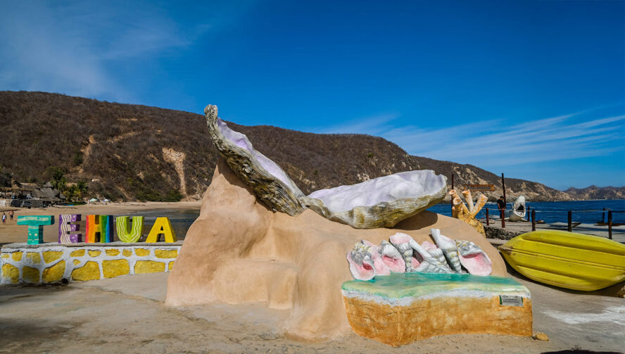 Culture, Entertainment, Food, News & Puerto Vallarta | Tehuamixtle: A ...